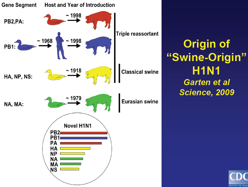 Novel Influenza A H1N1 Update | Public Intelligence