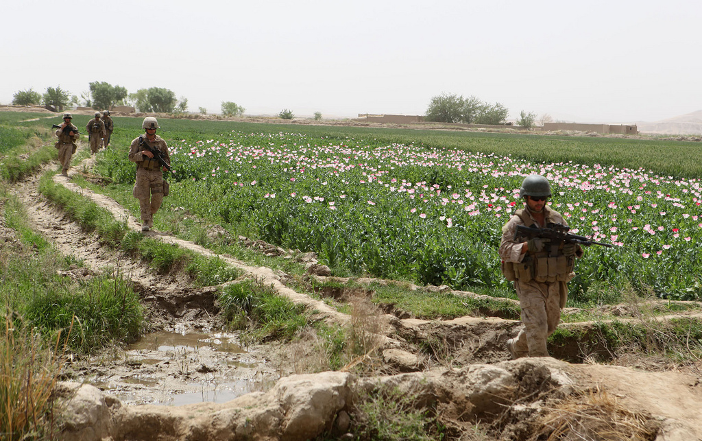US/NATO Troops Patrolling Opium Poppy Fields in Afghanistan | Public ...