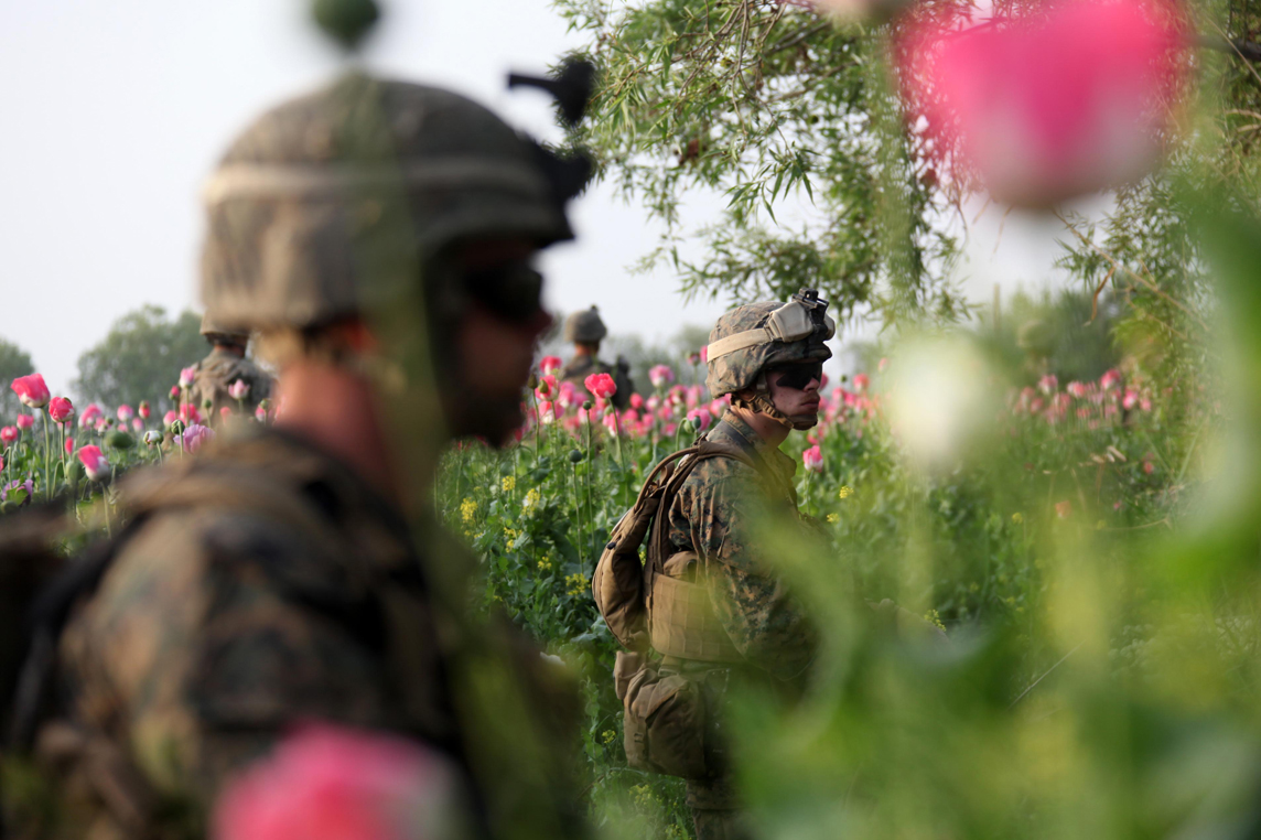 More Photos of US/NATO Troops Patrolling Opium Poppy Fields in ...