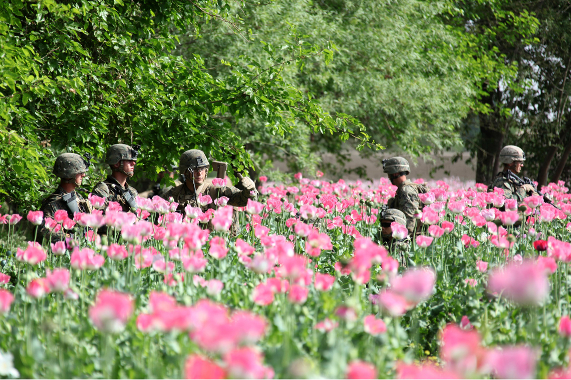 More Photos of US/NATO Troops Patrolling Opium Poppy Fields in ...