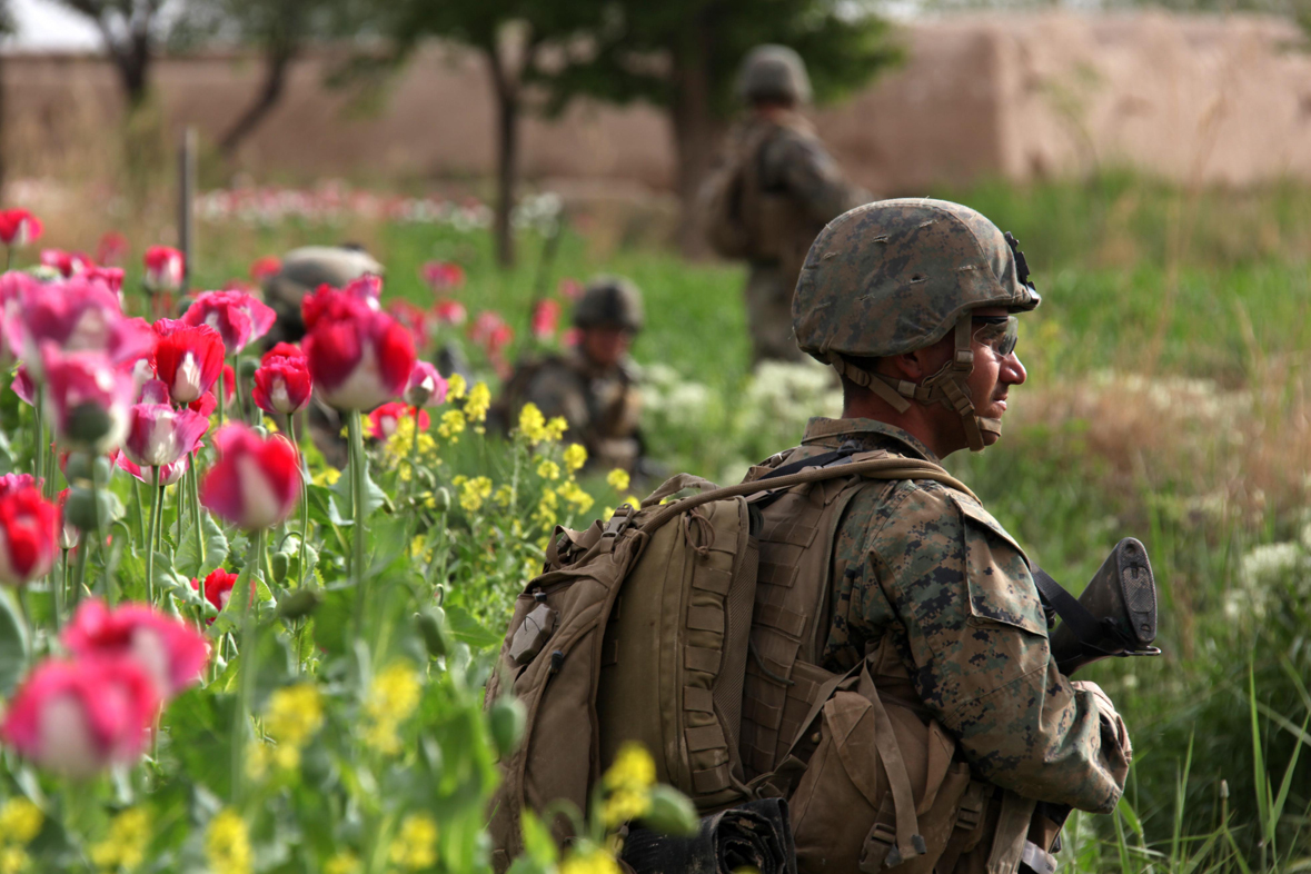 More Photos of US/NATO Troops Patrolling Opium Poppy Fields in ...