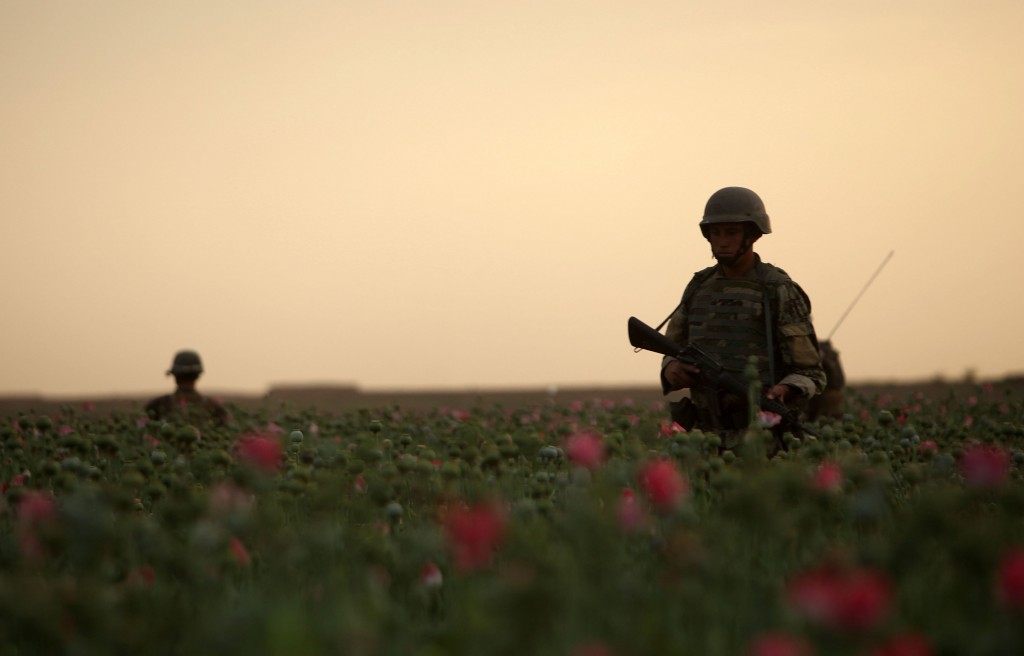 Photos of U.S. and Afghan Troops Patrolling Poppy Fields June 2012 ...