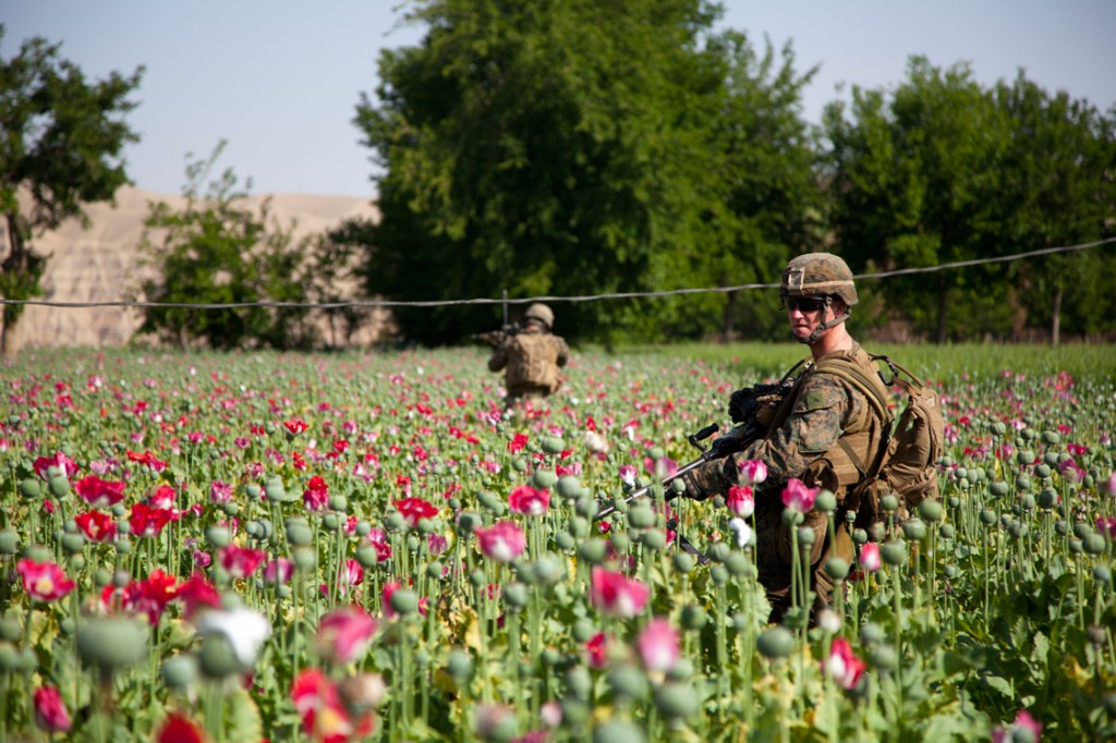 Photos of U.S. and Afghan Troops Patrolling Poppy Fields June 2012 ...