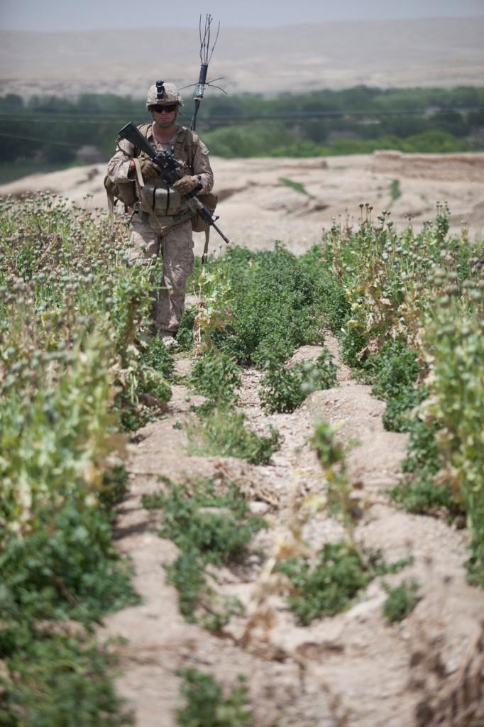 Photos of U.S. and Afghan Troops Patrolling Poppy Fields June 2012 ...